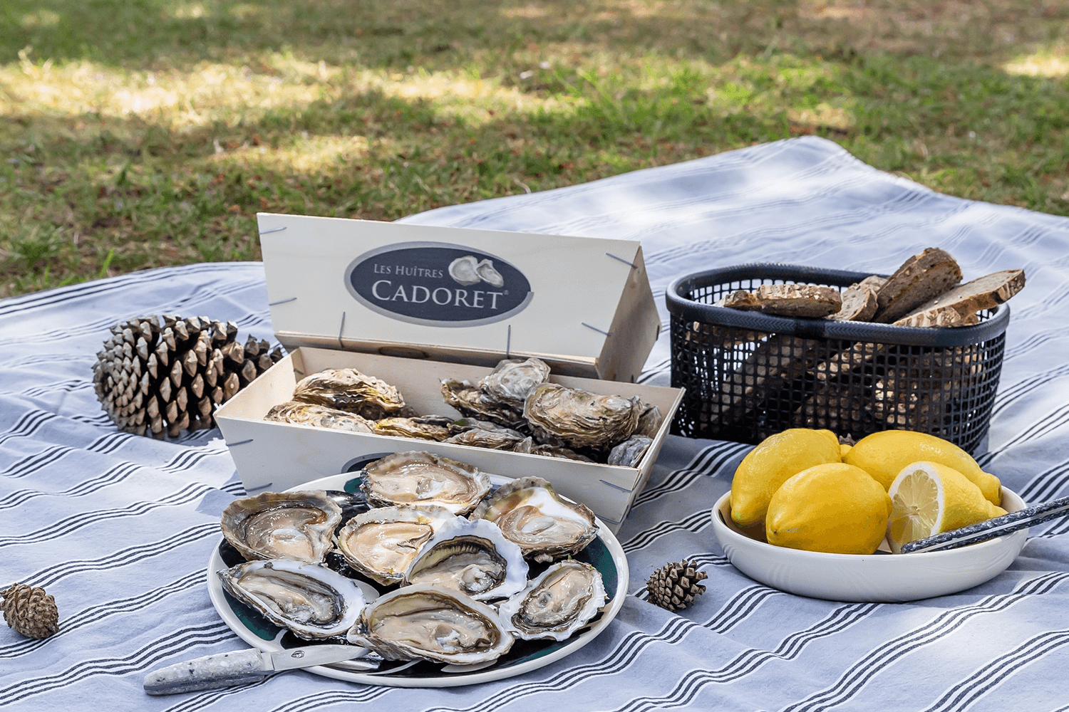 เทศกาล “Oyster Indulgence” จากฟาร์ม Les Huîtres Cadoret ณ ห้องอาหารโกจิ ...