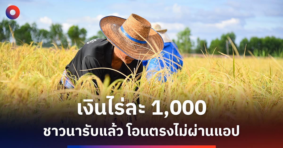 จุลพันธ์ ชี้ เงินไร่ละ 1,000 ชาวนารับแล้ว โอนตรงไม่ผ่านแอป