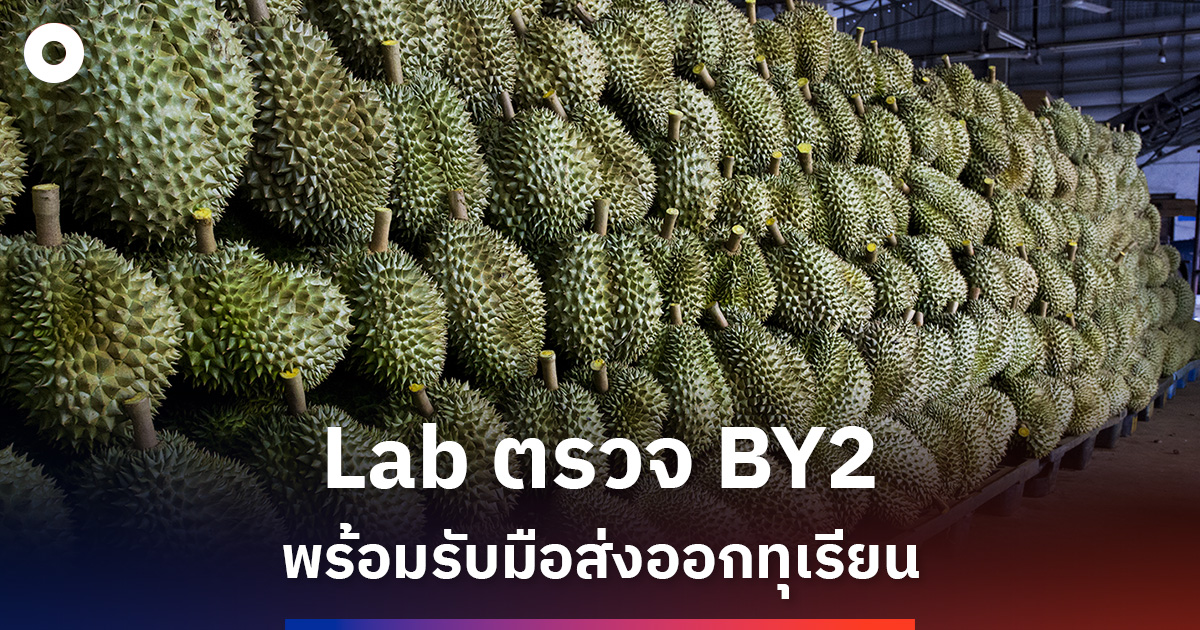 Lab ตรวจ BY2 พร้อมรับมือส่งออกทุเรียน