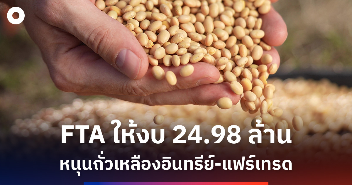 กองทุน FTA อนุมัติงบ 24.98 ล้าน หนุนถั่วเหลืองอินทรีย์–แฟร์เทรด