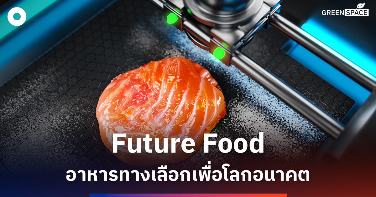 Future Food ทางรอดของโลกและโอกาสทองของ SME ไทย
