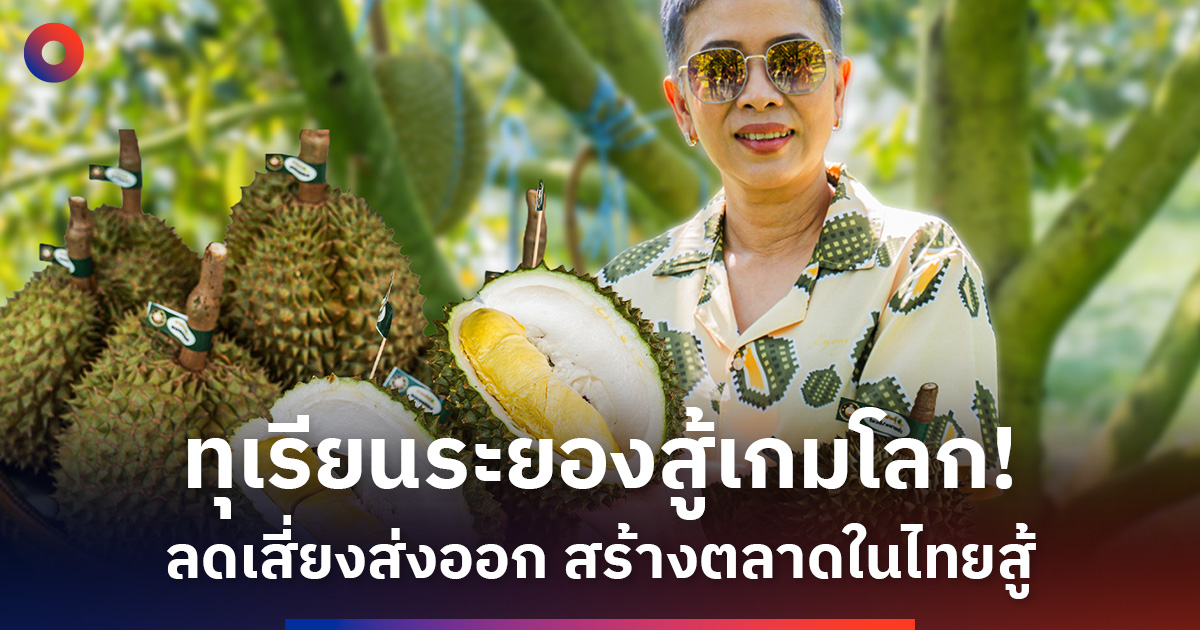 ทุเรียนสวนคุณยาย ‘ระยอง’ จากสวน GI สู่ตลาดโลก รักษาคุณภาพ สู้ต้นทุน หา ...