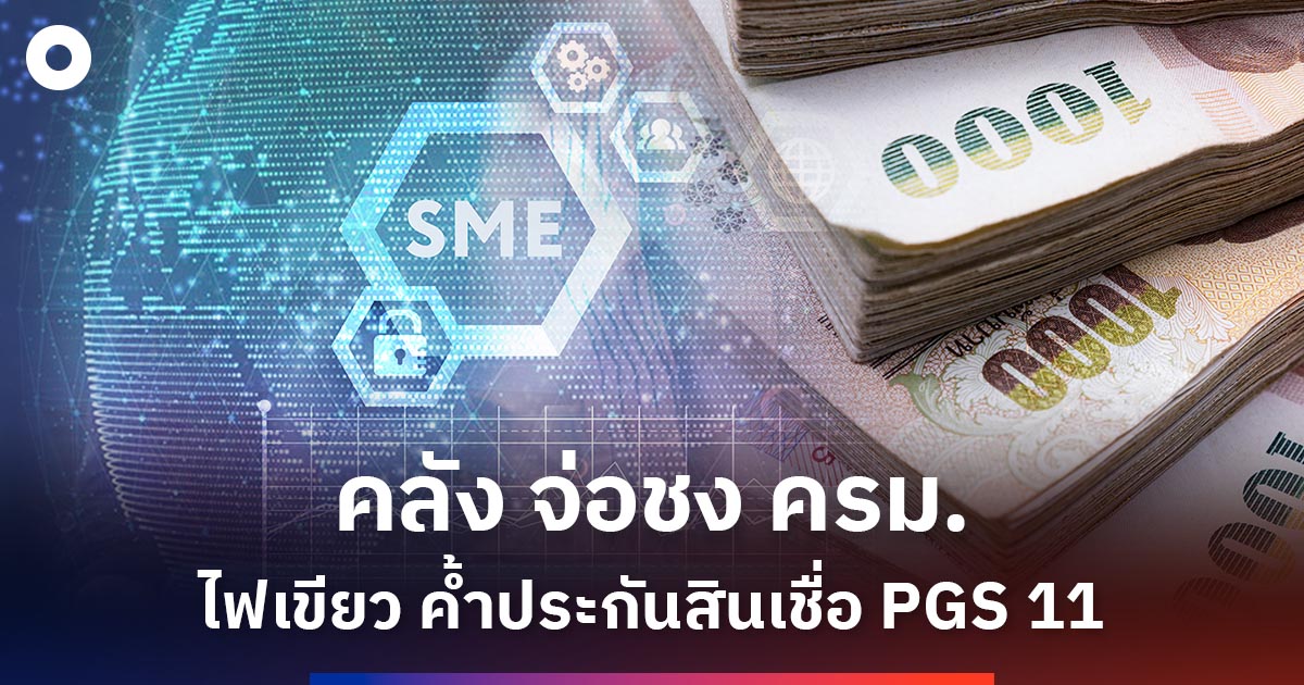 คลัง จ่อชง ครม. ไฟเขียว ค้ำประกันสินเชื่อ PGS 11