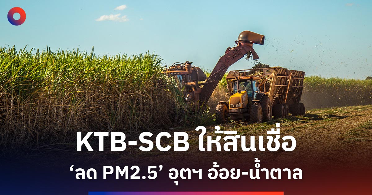 KTB-SCB ให้สินเชื่อ ‘ลด PM 2.5’ อุตฯ อ้อย-น้ำตาล