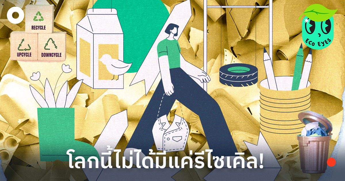 Recycle-Upcycle-Downcycle เปิด 3 ความต่างสร้างมูลค่าขยะ