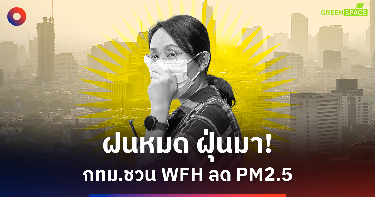 กทม.คาดฝุ่น PM2.5 มาตามนัด เปิดทางเลือก Work From Home ลดมลพิษชูเมืองอากาศสะอาด