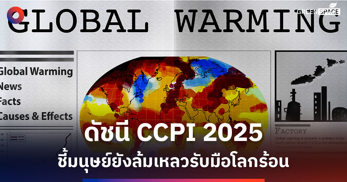 ดัชนี CCPI 2025 ชี้มนุษย์ยังล้มเหลวในการรับมือกับโลกร้อน ตารางไร้ TOP 3 ไทยขยับขึ้นที่ 24